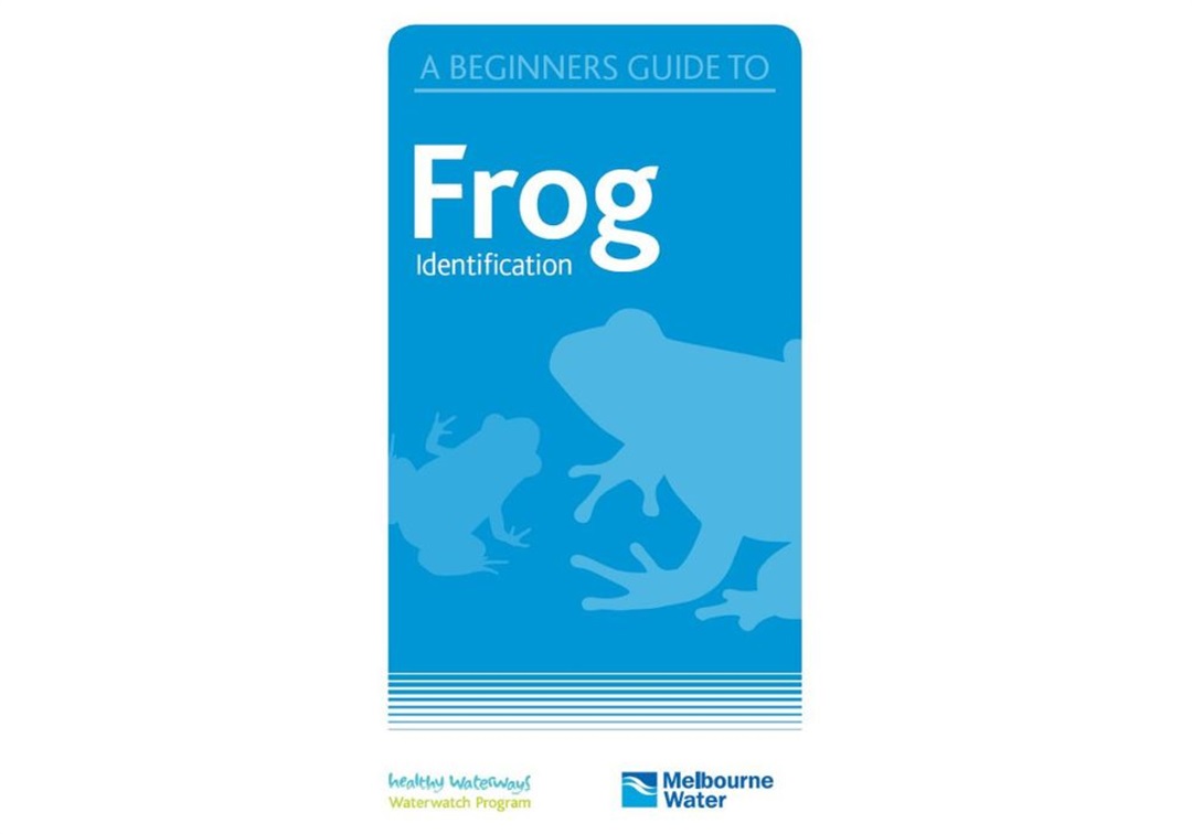 A beginners guide to frog identification - Hobsons Bay