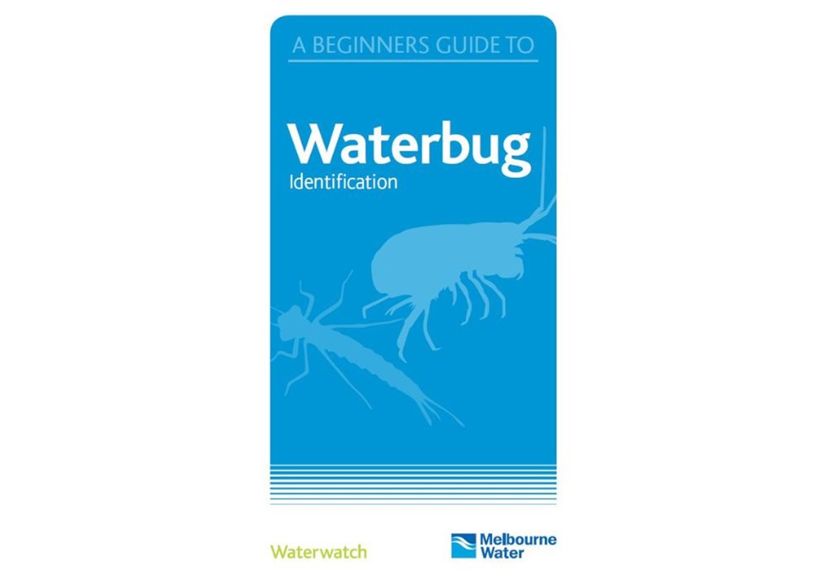 A beginners guide to waterbug identification - Hobsons Bay