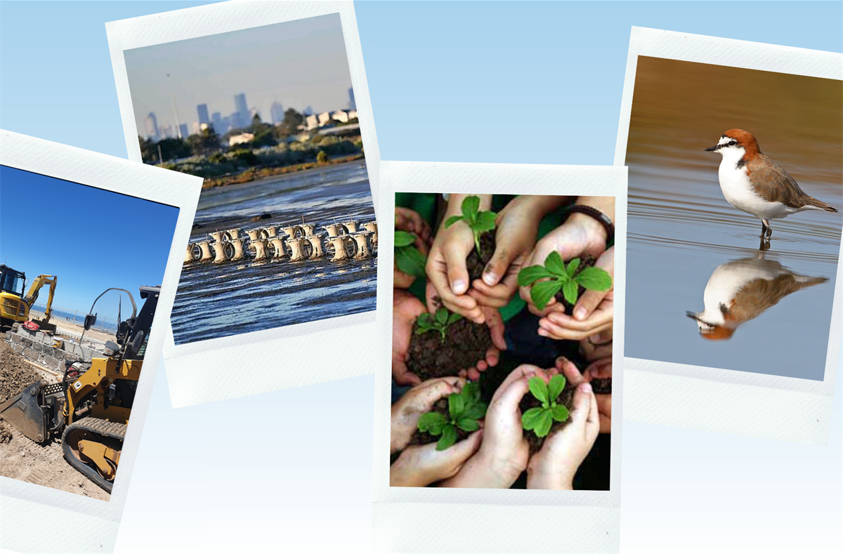 Response to Climate Change Action Plan - Hobsons Bay