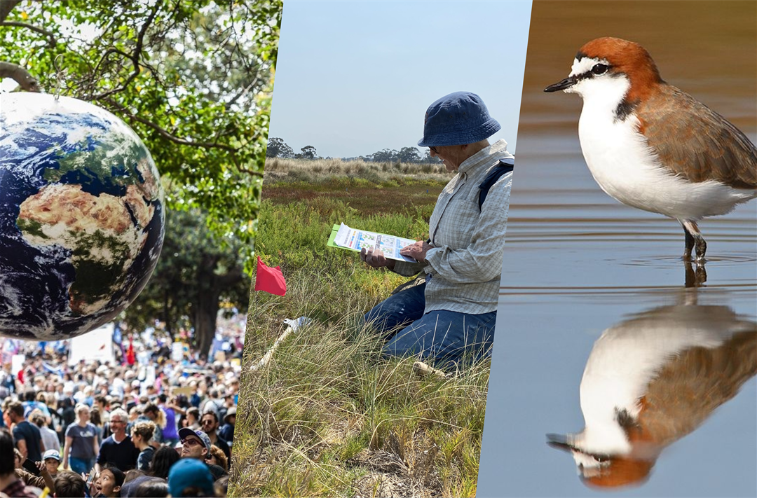 Community Environment Groups - Hobsons Bay